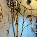 Parakeet Small Bird Tree Base Only - Etsy