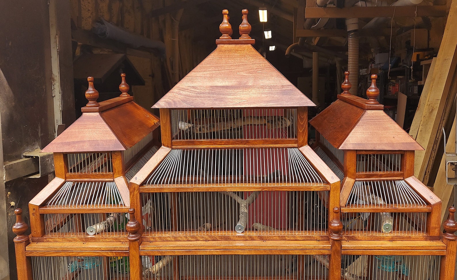 Custom Large Parakeet Cage, 3 Roofed, Flight Cage - Etsy