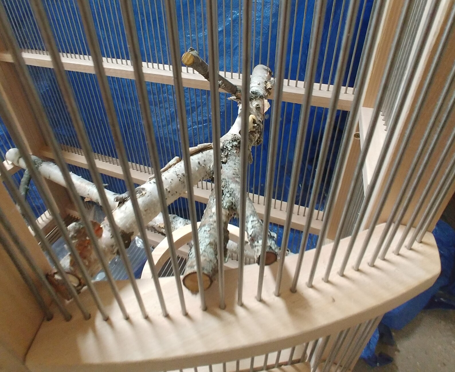 Handmade parakeet/finch cage 3 section hardwood and stainless | Etsy