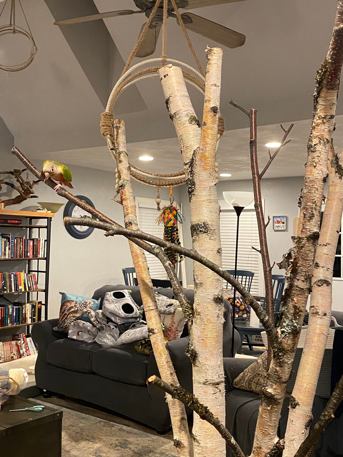 Parakeet Small Bird Tree - Etsy