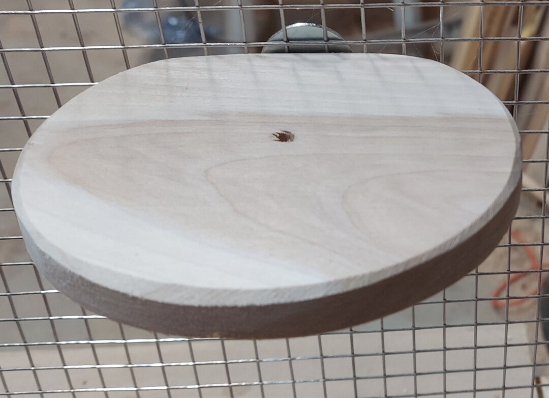 Parakeet Round Birdcage Shelf - Etsy