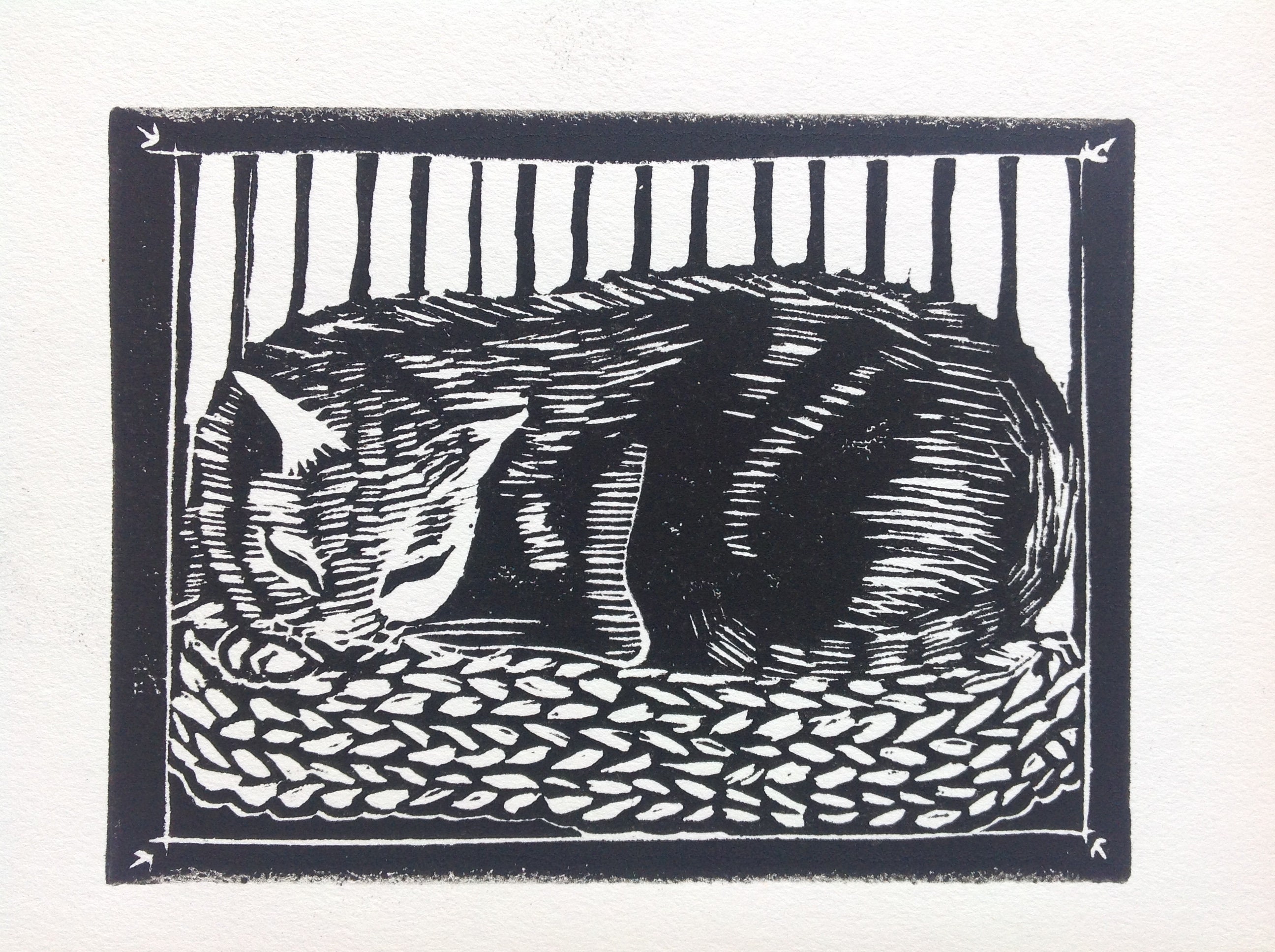 Sleeping Cat Block Print - Etsy