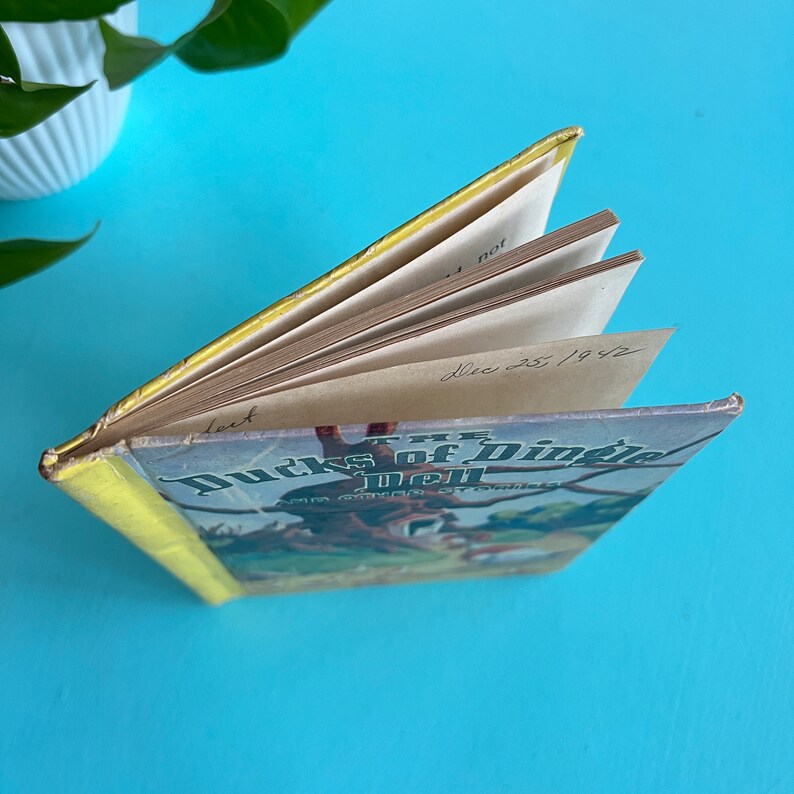 The Ducks of Dingle Dell and Other Stories Illustrated by Sari - Etsy