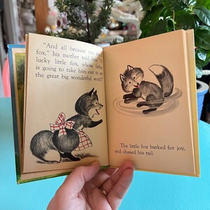 Little Fox by Mabel Watts Illustrated by Irma Wilde A Rand Mcnally ...