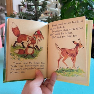 Little Fox by Mabel Watts Illustrated by Irma Wilde A Rand Mcnally ...