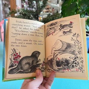 Little Fox by Mabel Watts Illustrated by Irma Wilde A Rand Mcnally ...