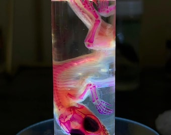 Wet Specimen Lizard - Etsy