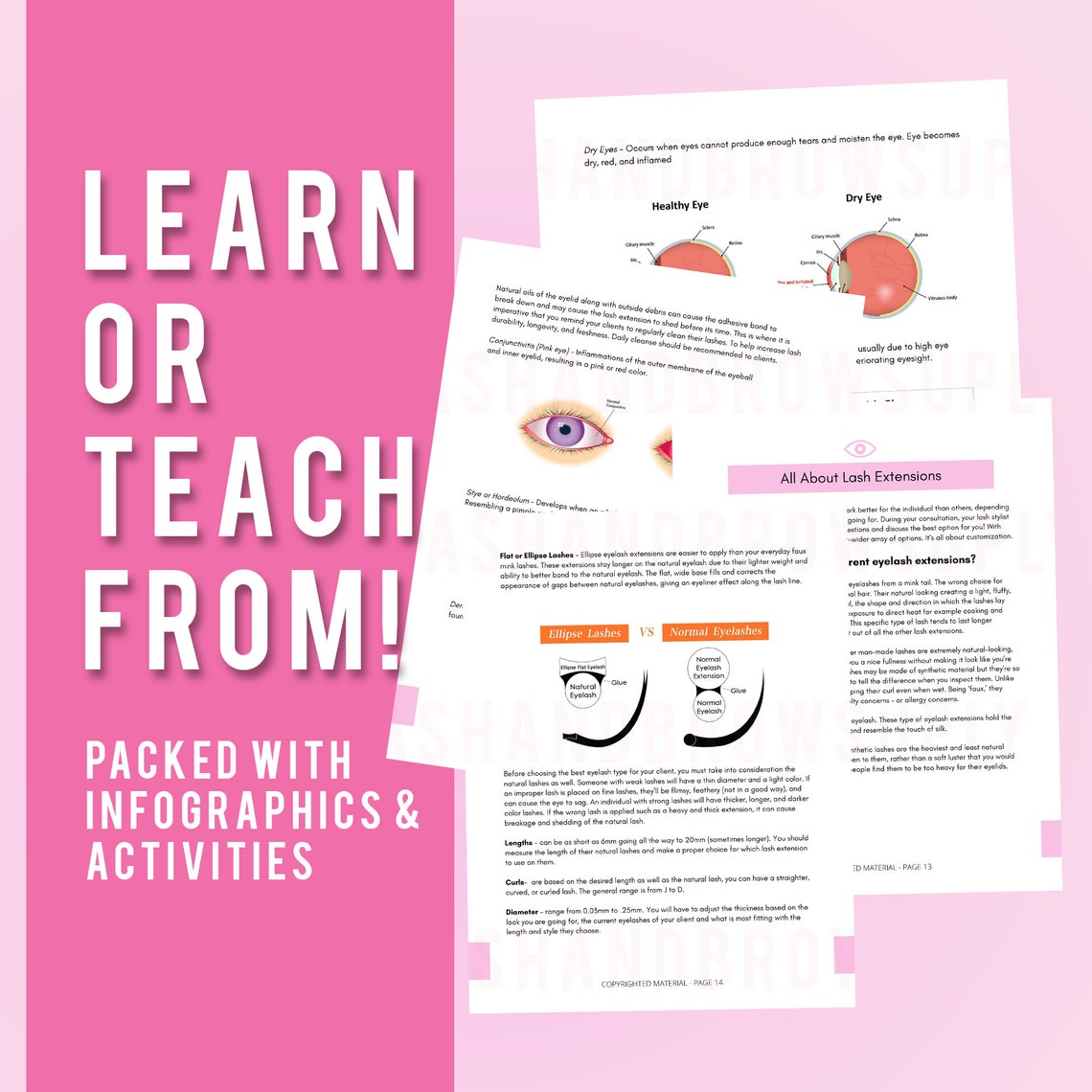 Classic Eyelash Extension Training Manual Instant Download - Etsy