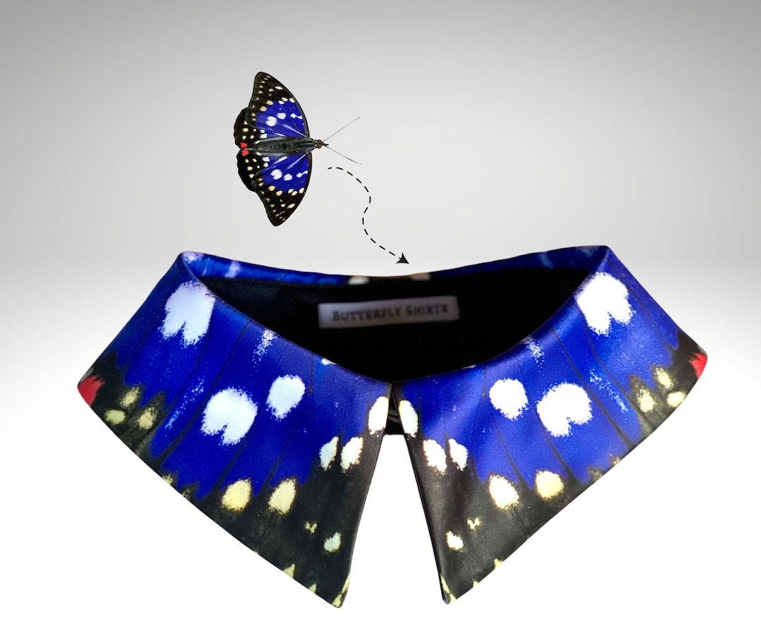 Butterfly Necklace - Butterfly, Collar Necklace -detachable Collar- Day ...