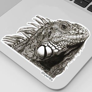 Iguana Sticker Glossy, Water Resistance, Die Cut, Realistic - Etsy
