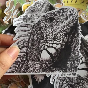 Iguana Sticker Glossy, Water Resistance, Die Cut, Realistic - Etsy