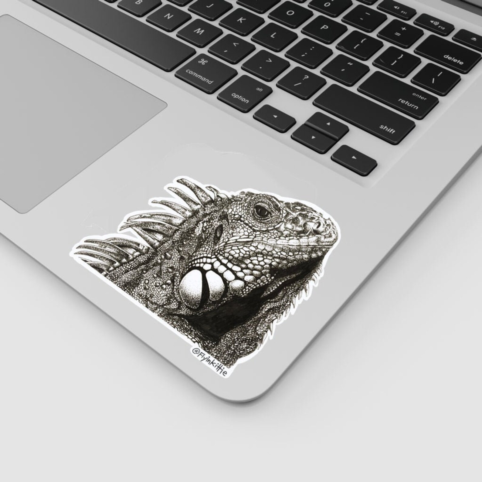 Iguana Sticker Glossy, Water Resistance, Die Cut, Realistic - Etsy