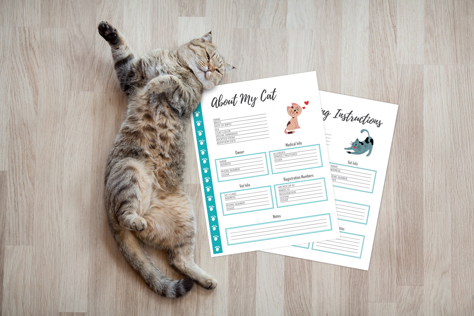 Cat Care Planner 27 Pages PDF Printable Cat Care Sheets - Etsy