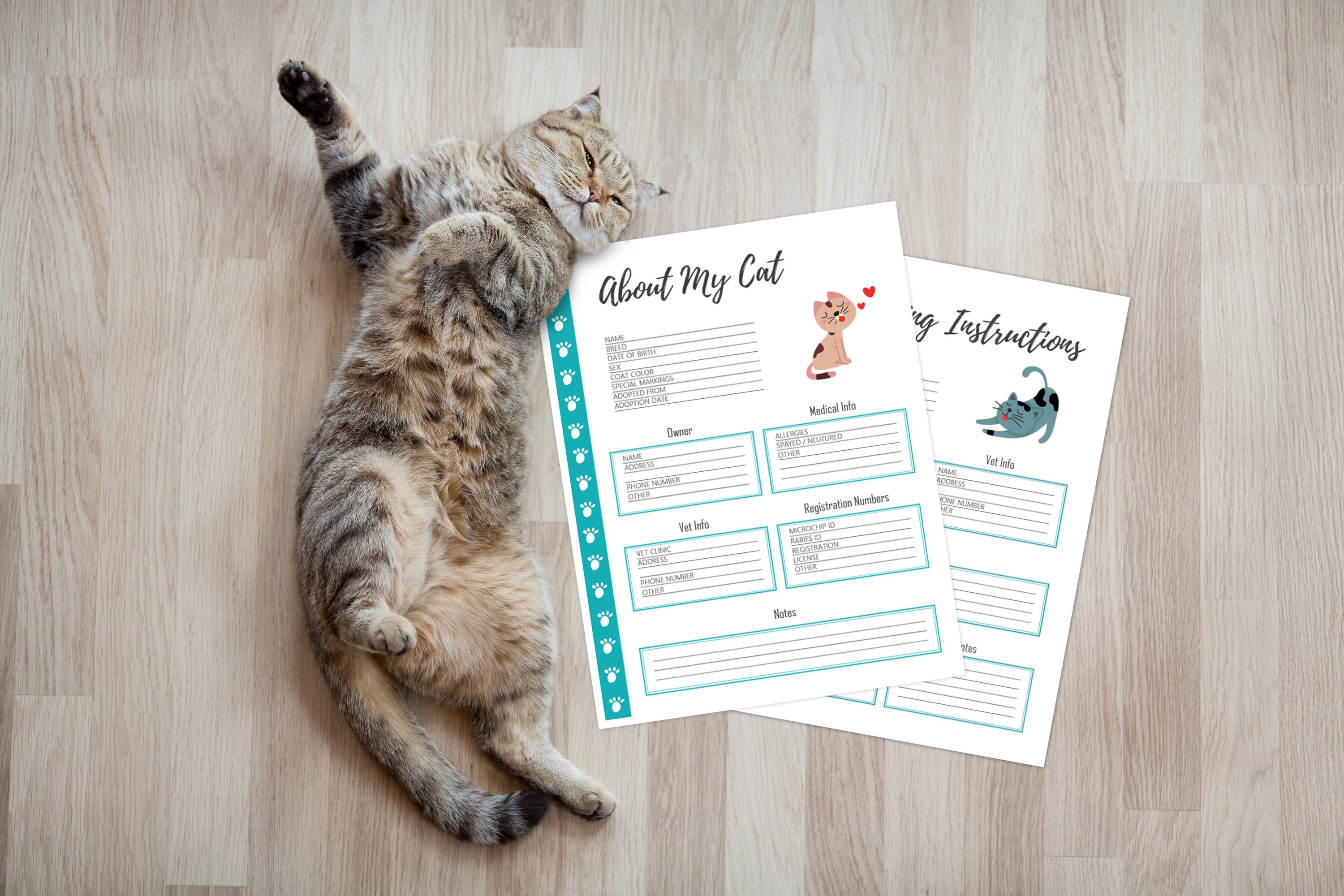 Cat Care Planner 27 Pages PDF Printable Cat Care Sheets - Etsy