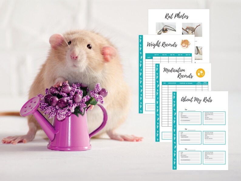 Rat Care Planner - PDF Printable - Rat Care Sheets, Rat Medical Records ...