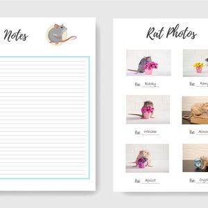 Rat Care Planner - PDF Printable - Rat Care Sheets, Rat Medical Records ...