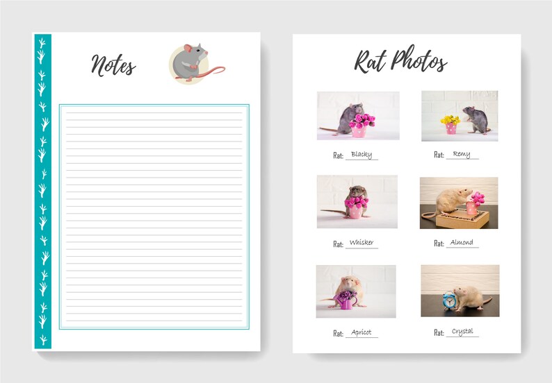 Rat Care Planner PDF Printable Rat Care Sheets, Rat Medical Records ...