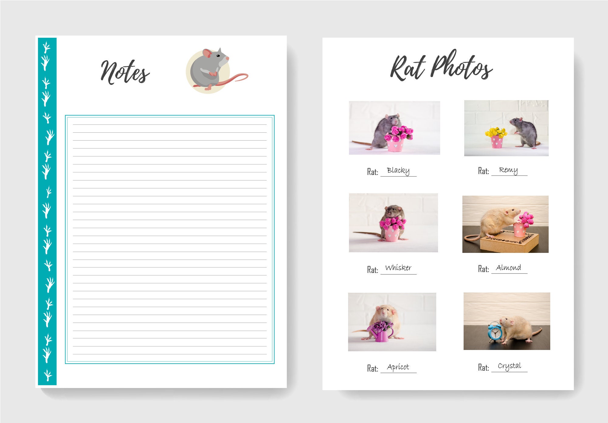 Rat Care Planner - PDF Printable - Rat Care Sheets, Rat Medical Records ...