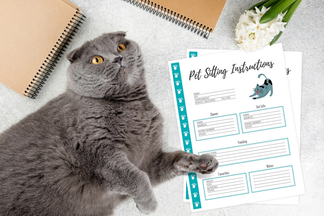 Cat Care Planner [27 Pages] - PDF Printable - Cat Care Sheets, Cat ...