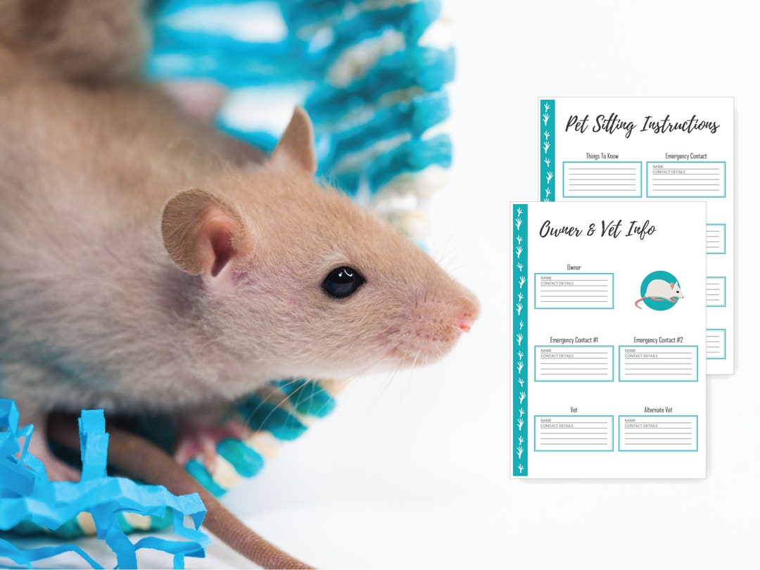 Mice Care Planner - PDF Printable - Mice Care Sheets, Medical Records ...