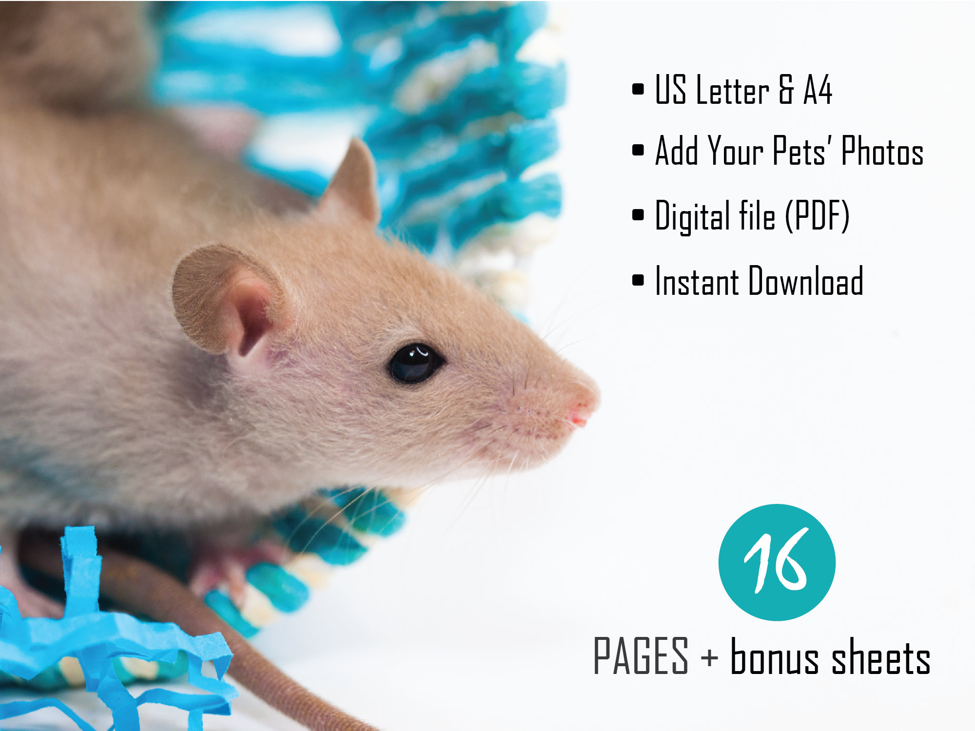 Mice Care Planner - PDF Printable - Mice Care Sheets, Medical Records ...