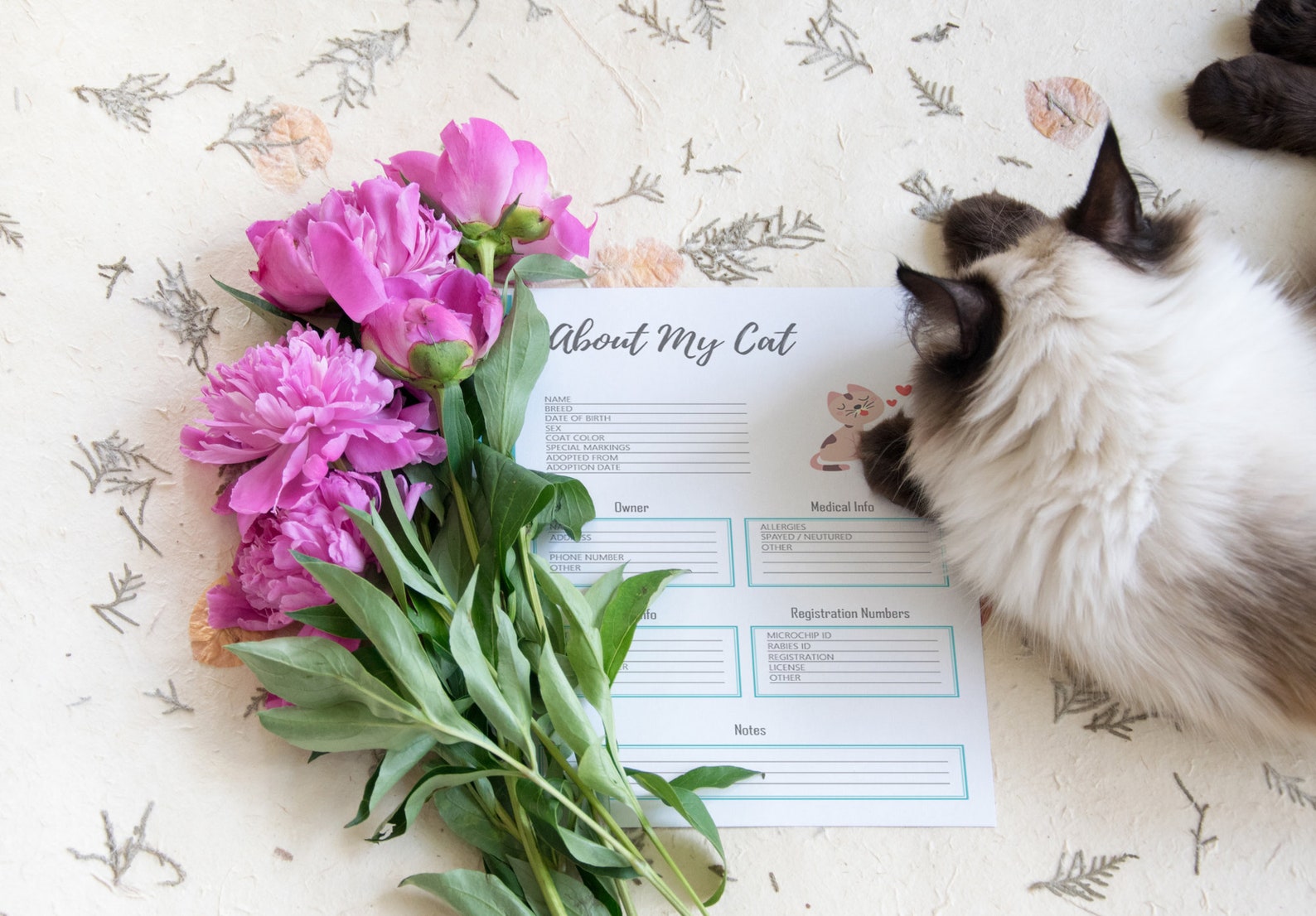Cat Care Planner 27 Pages PDF Printable Cat Care Sheets - Etsy