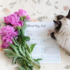 Cat Care Planner [27 Pages] - PDF Printable - Cat Care Sheets, Cat ...