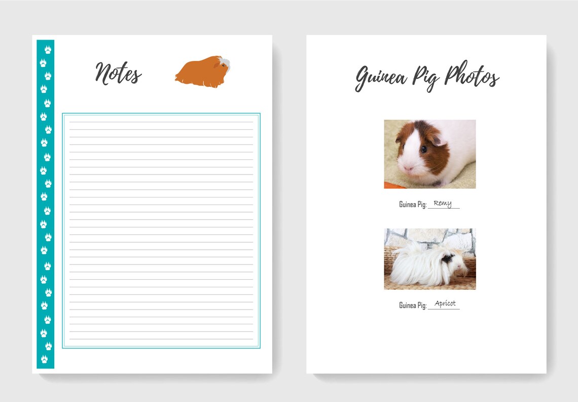 Guinea Pig Care Planner - PDF Printable - Guinea Pig Care Sheets ...