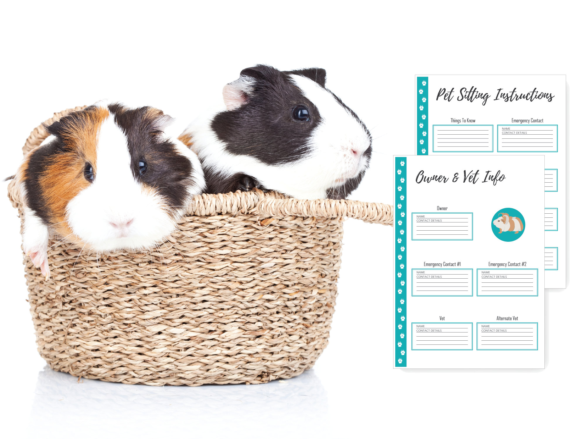Guinea Pig Care Planner - PDF Printable - Guinea Pig Care Sheets ...