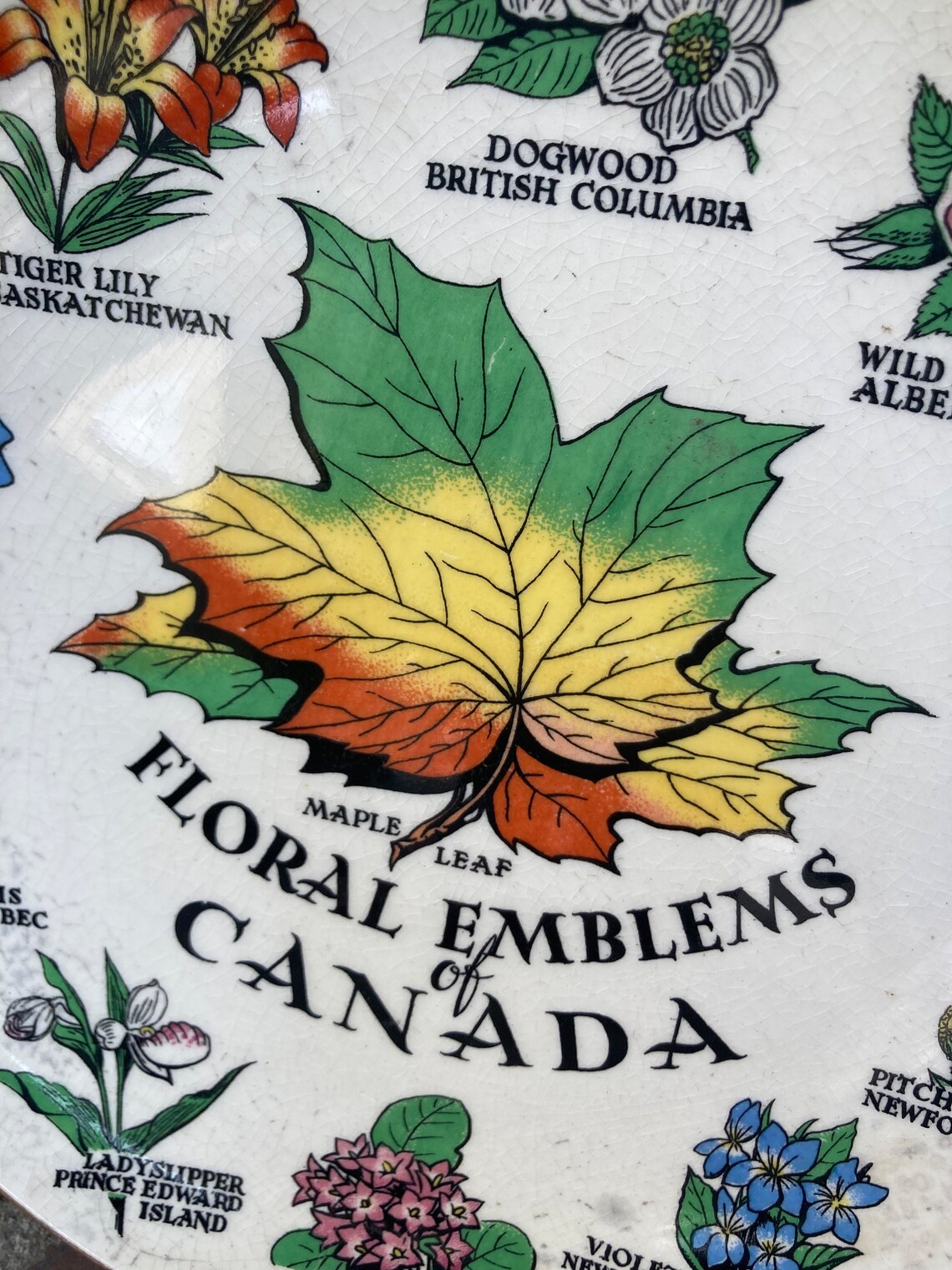 Floral Emblems of Canada Plate - Etsy