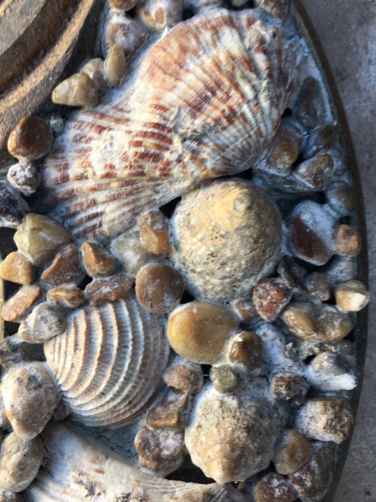 10 Round Nautical/beach Shell Mirror | Etsy