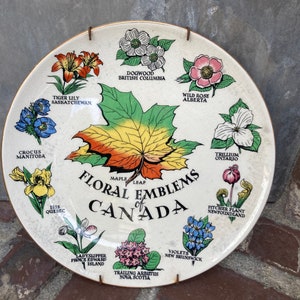 Floral Emblems of Canada Plate - Etsy