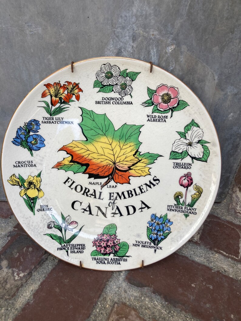 Floral Emblems of Canada Plate - Etsy