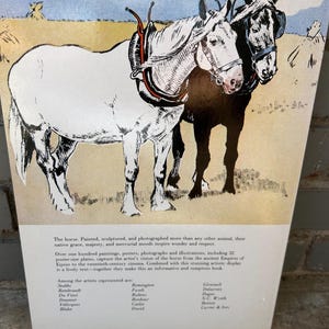 The Illustrated Horse Art Book 1979 - Etsy