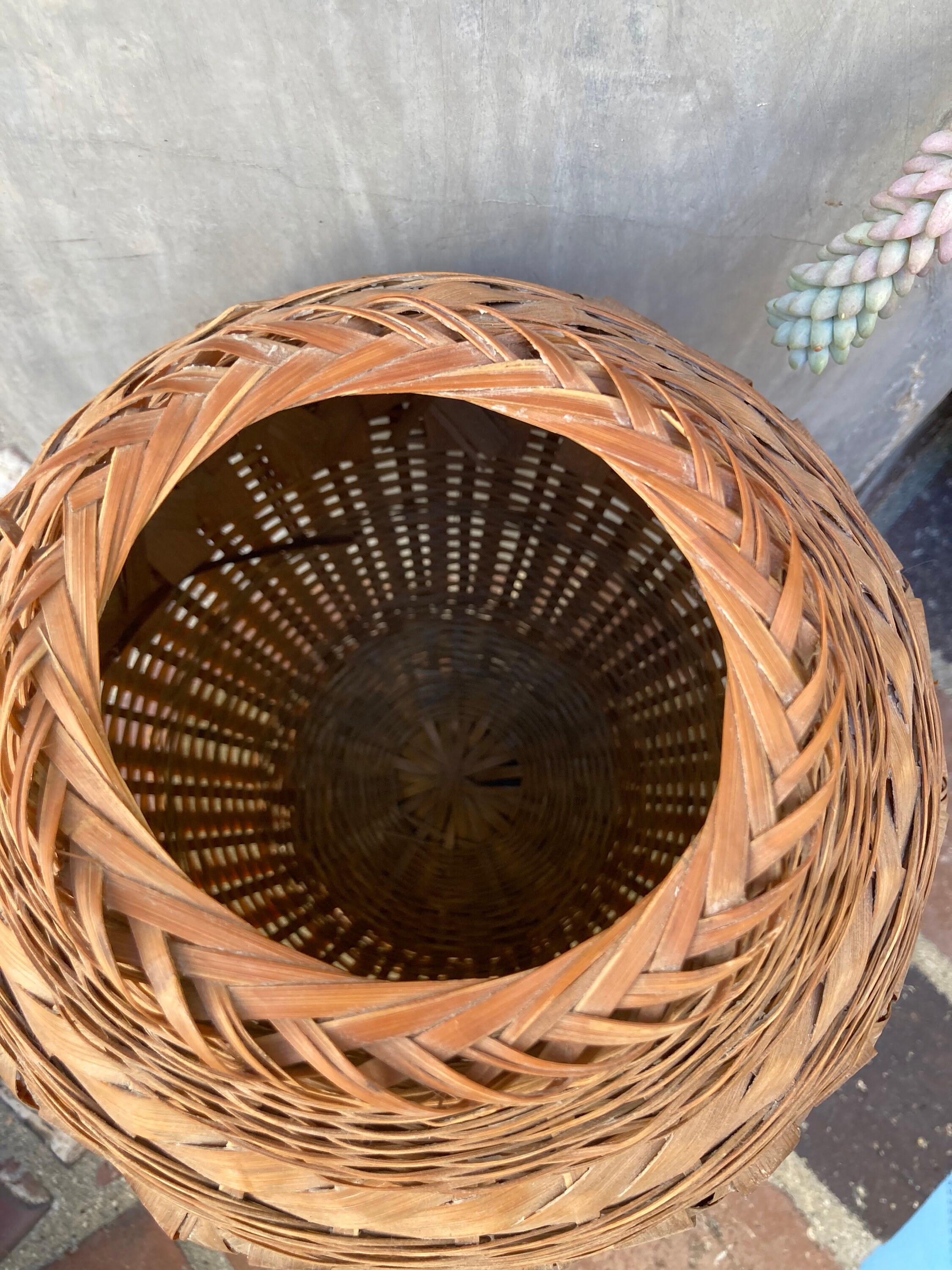 Woven Basket/vase - Etsy