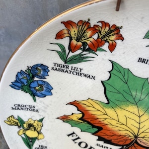 Floral Emblems of Canada Plate - Etsy