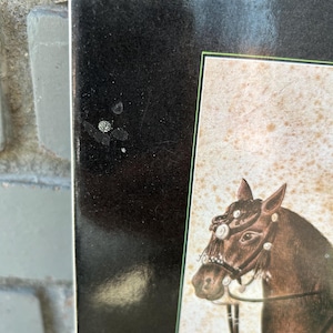 The Illustrated Horse Art Book 1979 - Etsy