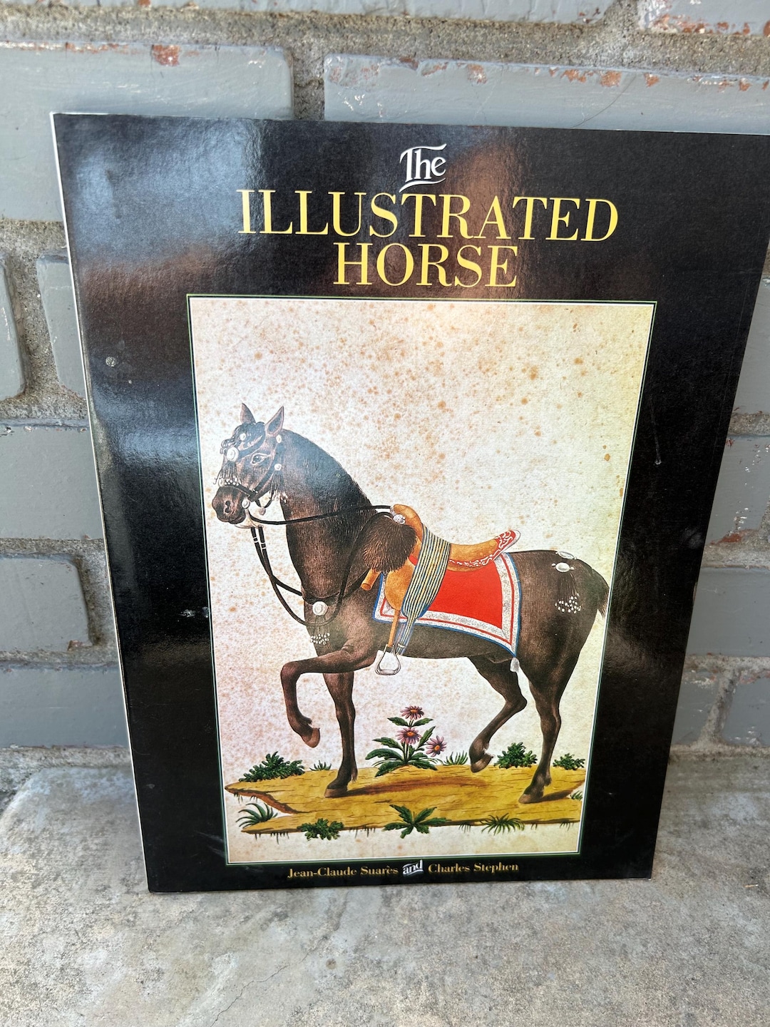 The Illustrated Horse Art Book 1979 - Etsy