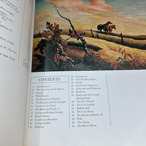 The Illustrated Horse Art Book 1979 - Etsy