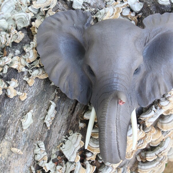 Faux Elephant Head - Etsy