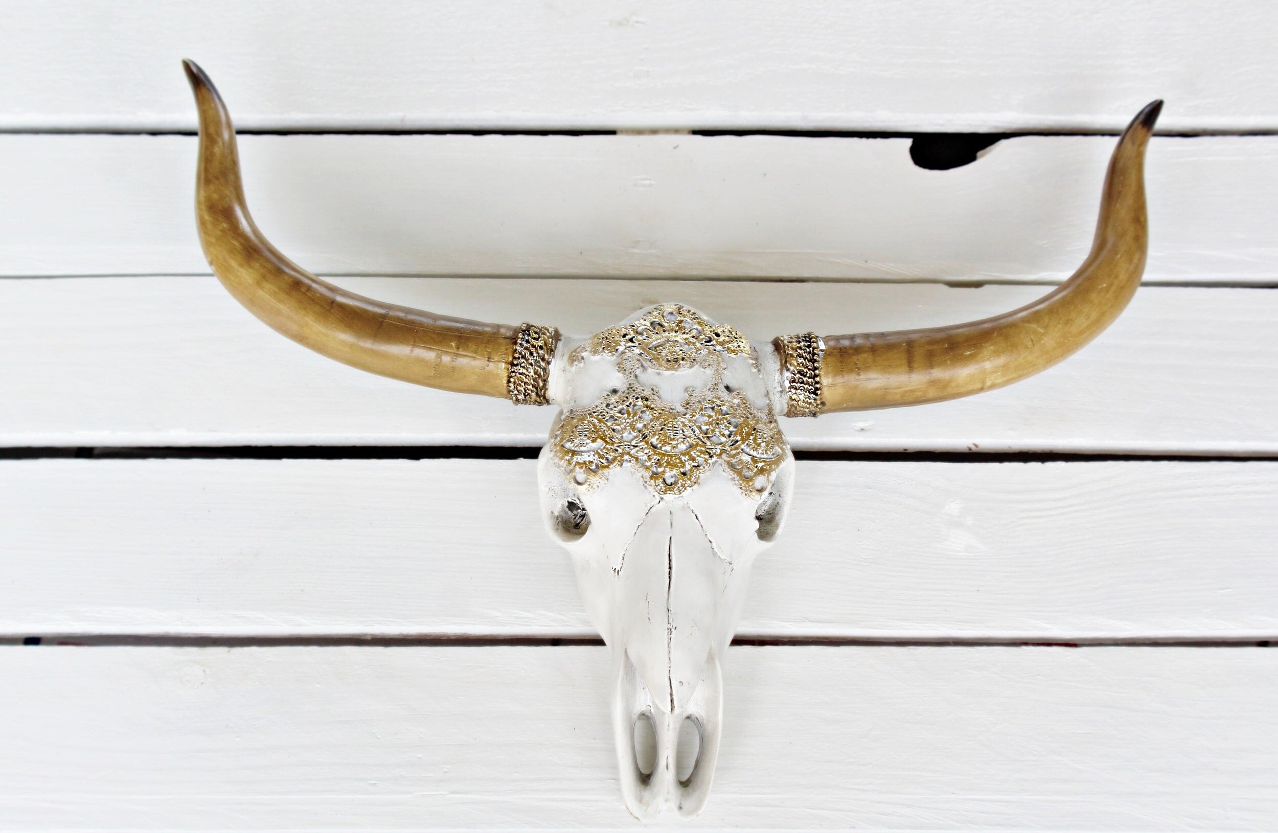 Gold Carved Longhorn Skull Gift for Her Cow Skull Wall Decor - Etsy