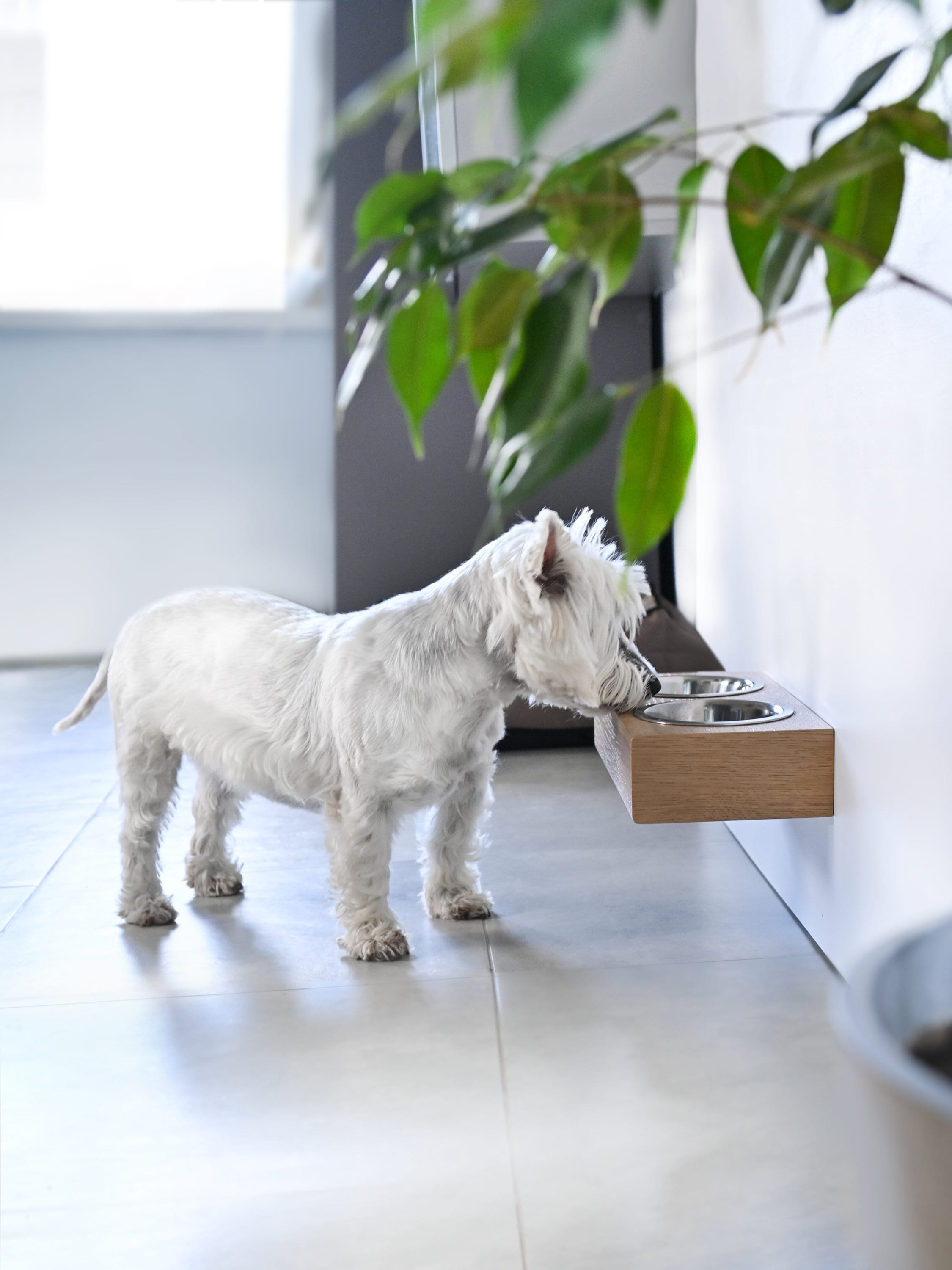 Small Dogs and Cats Wooden Elevated Stand Healthier Feeding | Etsy