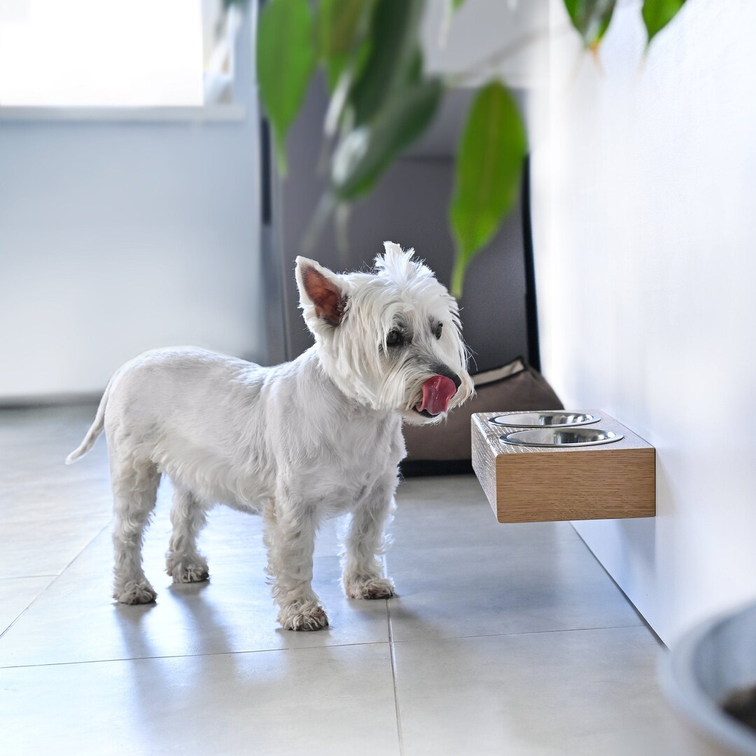 Small Dogs and Cats Wooden Elevated Stand, Healthier Feeding Stand ...