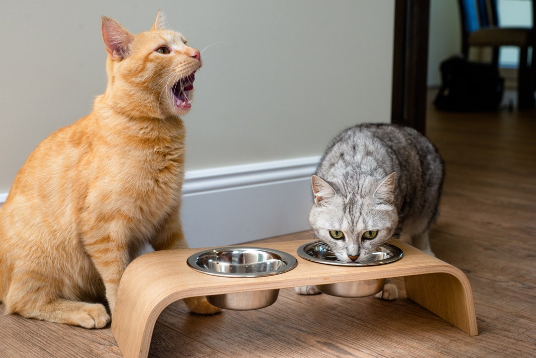 Wooden Elevated Stand for Cats and Small Dogs Healthier Feeding Stand ...