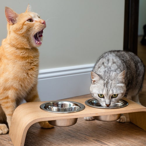 Wooden Elevated Stand for Cats and Small Dogs Healthier - Etsy