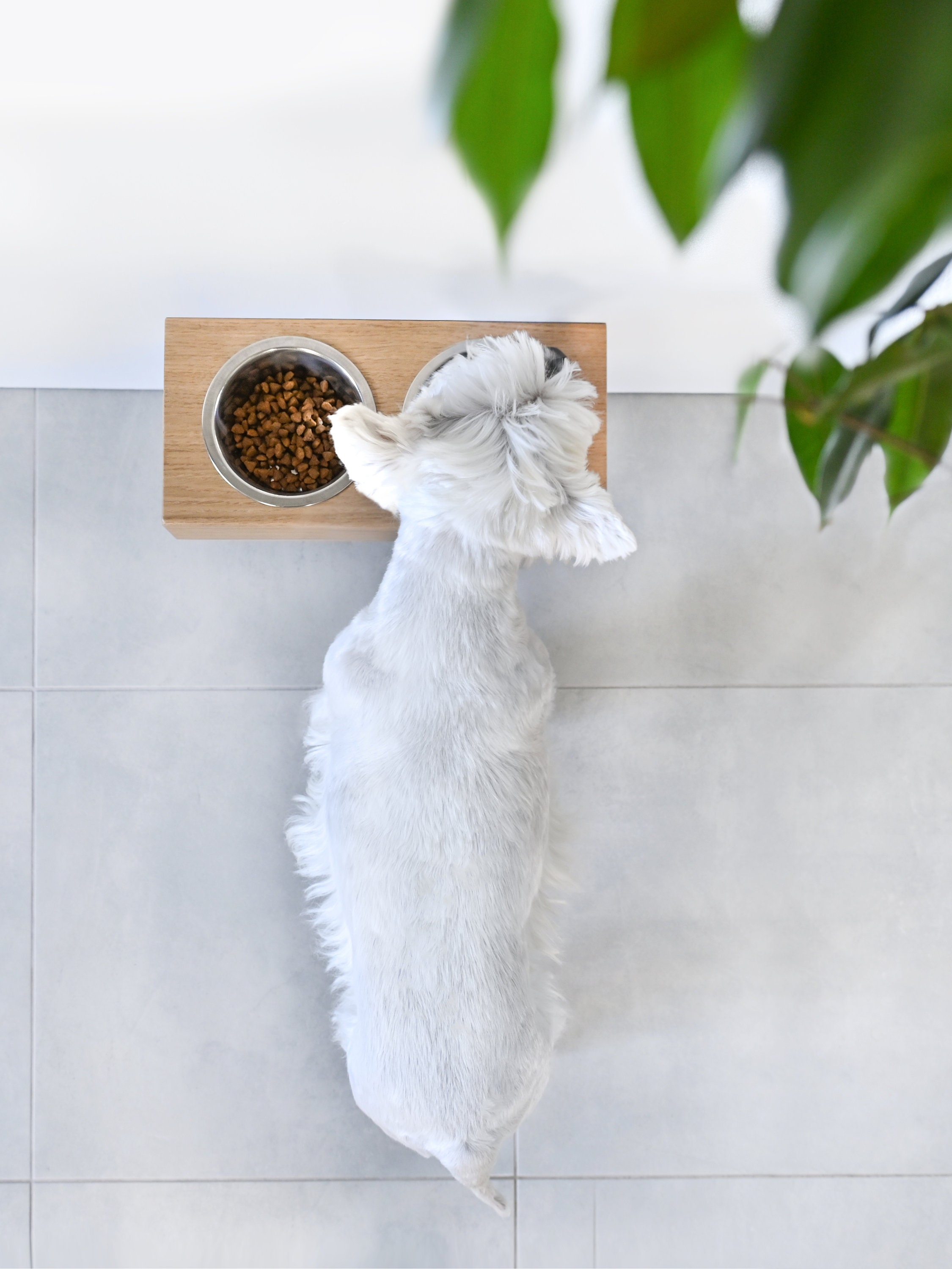 Small Dogs and Cats Wooden Elevated Stand Healthier Feeding | Etsy