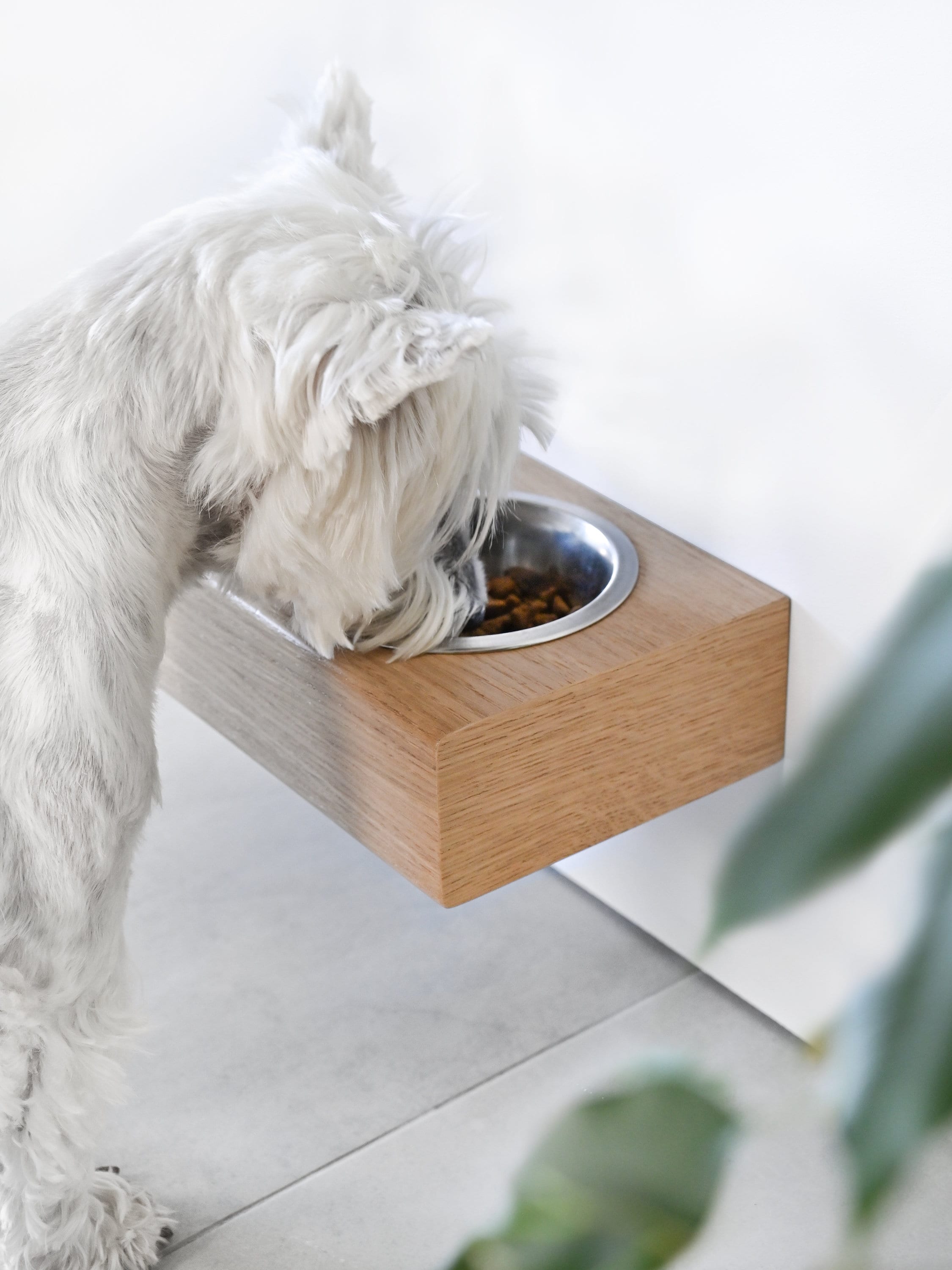 Small Dogs and Cats Wooden Elevated Stand Healthier Feeding | Etsy