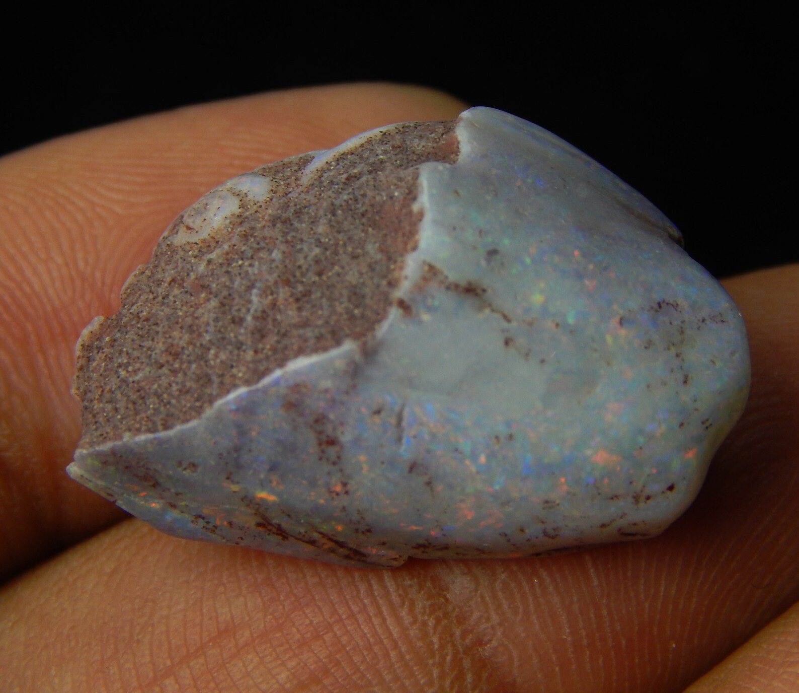 19 Carat Australian Opal Fossil Shell Fancy Shape Gemstone | Etsy