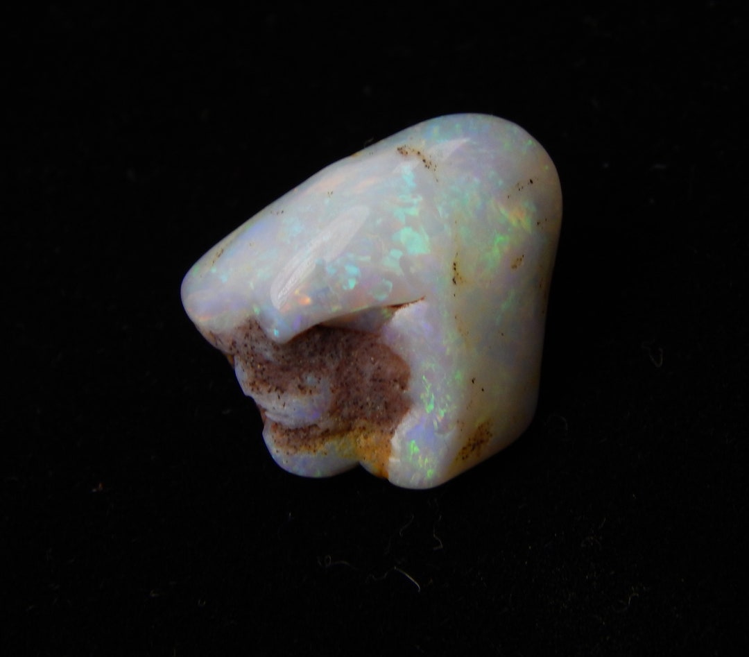 8.5 Carat, Australian Opal, Fossil Shell, Fancy Shape, Gemstone Shell ...