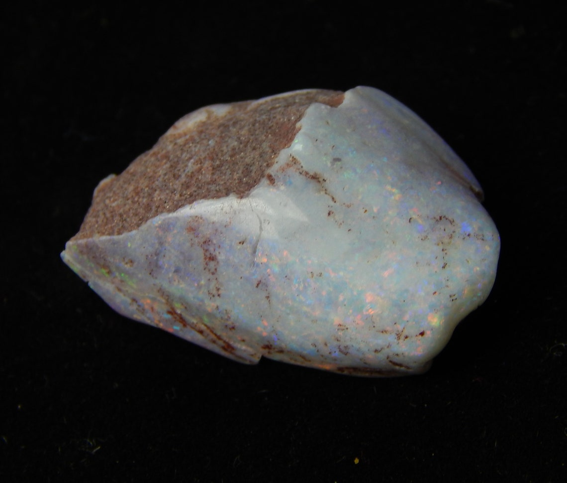 19 Carat Australian Opal Fossil Shell Fancy Shape Gemstone | Etsy